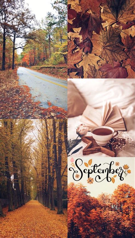 September Wallpaper For Autumn Vibes September Pictures Autumn Phone