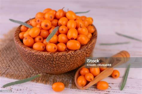 하얀 나무 배경에 나무 그릇에 신선한 바다 갈매 나무 열매 0명에 대한 스톡 사진 및 기타 이미지 0명 가을 갈매나무 Istock