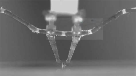 Maxence Leveziel On Linkedin Migribot The Fastest Pick And Place Robot In The World