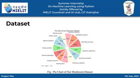 Mushroom Classification Using Machine Learning Pptx