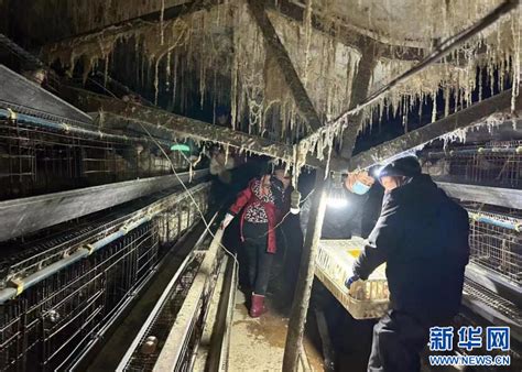 湖北石首：寒雪袭人来 帮扶暖人心 新华网客户端