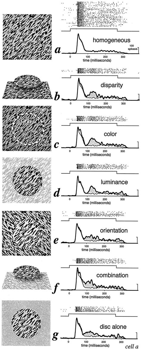 Extra Rf Contextual Modulation For Diverse Figure Defining Cues The Download Scientific