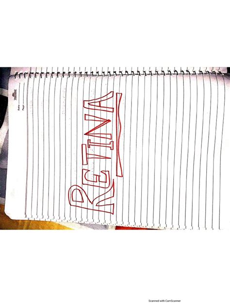 Optha 2 Pdf