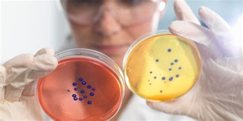 How Ai Actually Works When It Comes To Discovering New Antibiotics