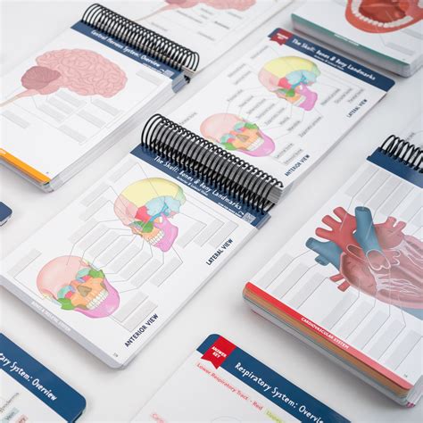 Anatomy Label Lab Workbook Nurseinthemaking