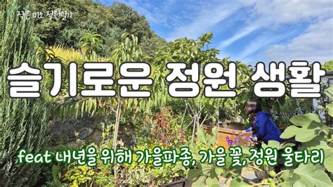 슬기로운 정원생활 Feat 가을파종 가을꽃 정원 울타리 Youtube