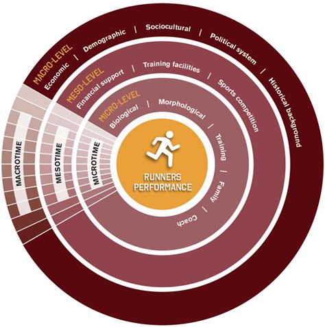 conceptual model of runners performance holistic approach [the figure