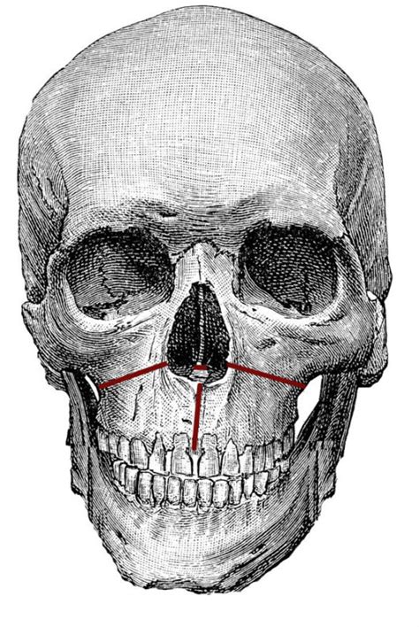 What Is Sarpe Instituto Maxilofacial