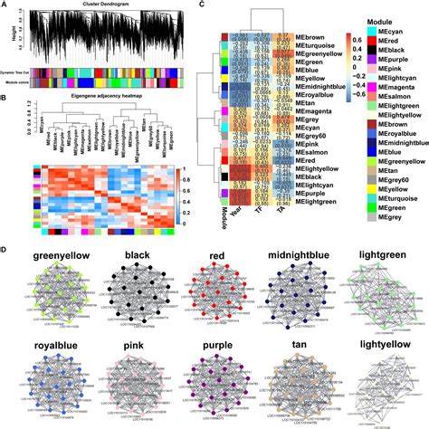 Frontiers Integration Of Transcriptome And Metabolome Provides New