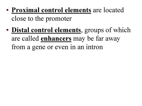 Overview How Eukaryotic Genomes Work And Evolve Ppt Download