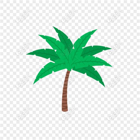 شجرة النخيل رسم