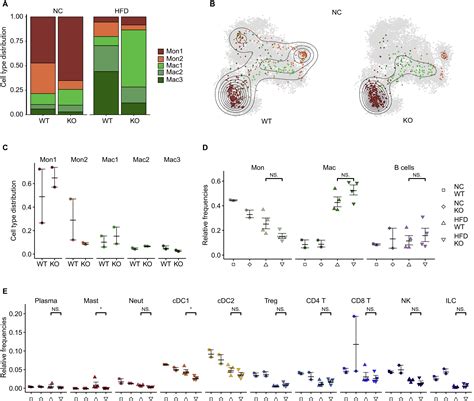 Lipid Associated Macrophages Control Metabolic Homeostasis In A Trem2