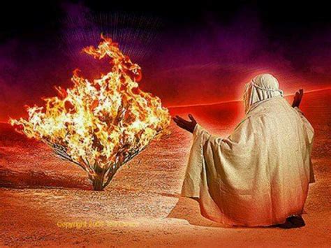 Moses And The Burning Bush Burning Bush Bible Pictures Bible Images