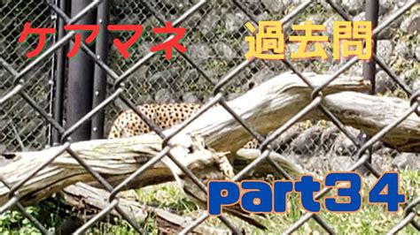 【part34】ケアマネ 過去問 保健医療サービス分野 Youtube
