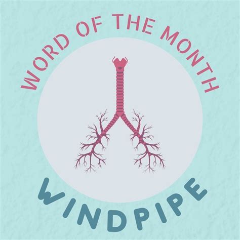 Altona Meadows Osteopathy And Healthcare Clinic Our July Word Of The