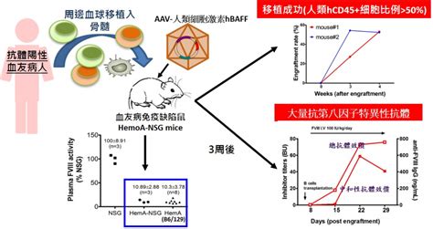 技術搶先看—利用crispr基因編輯技術及腺相關病毒載體開發擬人化疾病小鼠模式 未來科技館 Future Tech Futex