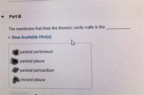 Physiology Chapter 1 Flashcards Quizlet