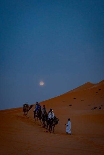 Perfect Fit Ted Stockings Size Guide Find Your Ideal Pair