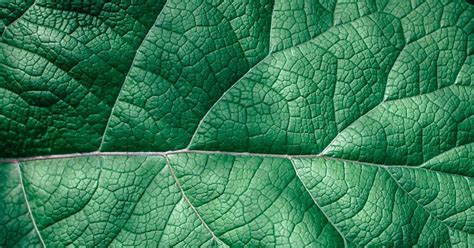 Cutting Edge Cosmetics Innovating For Sustainability With Machine