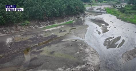이슈픽 피서철인데 가뭄에 녹조까지물 마른 강원도 ‘신음