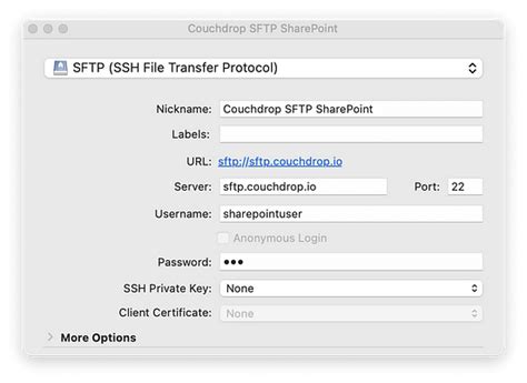 how to use sharepoint as ftp sftp server by jayden bartram