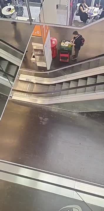 [video] Sophia Zhang Posted On Linkedin