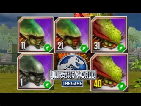 Jurassic World The Game 6 MAX PACHYCERATOPS LEVEL1 40 Thai YouTube