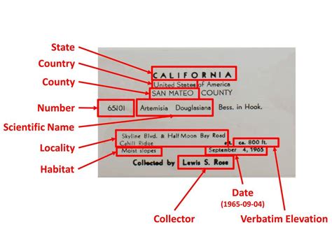 how can i tell what should go in the locality versus the habitat field