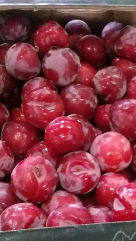 🚩خوخ مدور 🇹🇳 Al Thuraya International Fresh And Dry Food