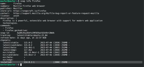 Easy Guide To Use Snap For Ubuntu Users