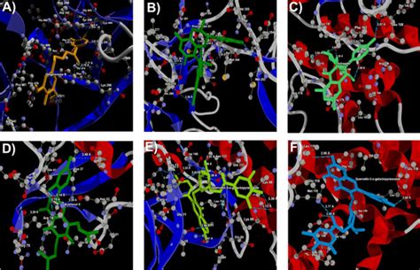 Understanding The Molecular Landscape Of Endometriosis A Bioinformatics Approach To Uncover