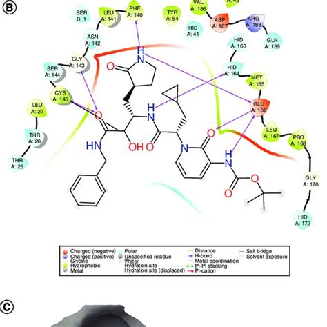 A 3d Interaction B 2d Interactions And C Surface View Of The