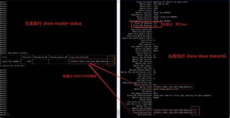 【知识分享】mysql 8 0 搭建主从（基于已有数据的数据库） 第6666代火影 博客园
