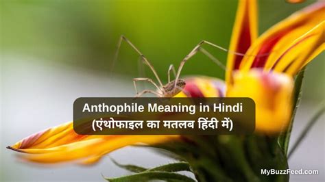 Prevent Meaning In Hindi प्रिवेंट का मतलब हिंदी में Mybuzzfeed