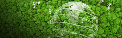 How to build green software development? | Blog - Future Processing