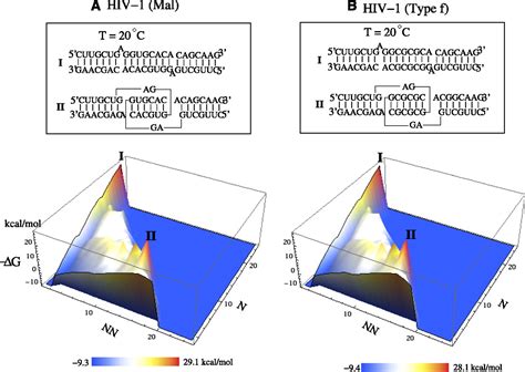 Structure And Stability Of RNA RNA Kissing Complex With Application To HIV Dimerization