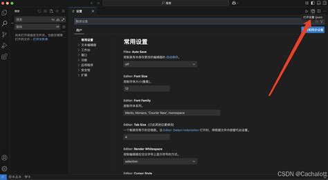 macos latex vs code 中文显示 安装与使用 mac vscode latex csdn博客