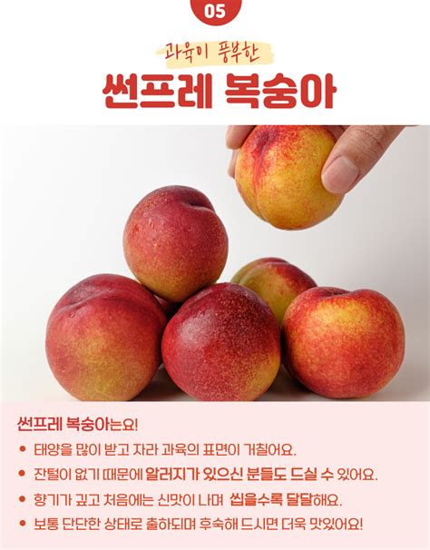 환타지아 썬프레 복숭아 물렁 아삭이 못난이 복숭아 납작 딱딱이 차돌 백도 410kg 울산광역시 중구 성남동 비즈프로필