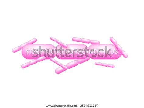 Streptococcus Background Over 1 965 Royalty Free Licensable Stock
