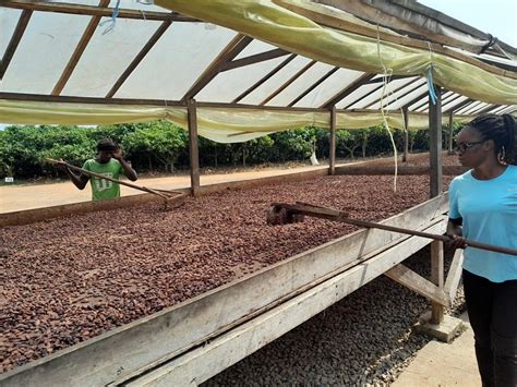 Analysis Of The Challenges And Costing Of Implementing Physical