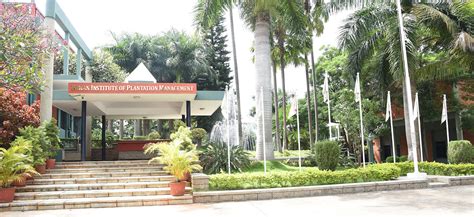 Iipm Journal Iipmb