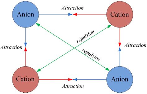 Conceptual Model And Forces Of Attraction And Repulsion Of Anions And Download Scientific