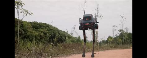 Robot Bipedo Alquiler Casual Robots