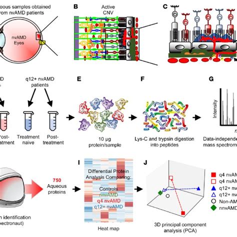 Overview Of Patient Sample Collection And Proteomics Screen In Download Scientific Diagram