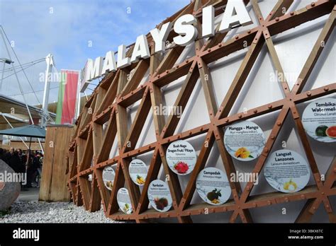 Triangular Interlocking Wood Structure Of Building Resembling Rainforest Seed Geodesic Domes