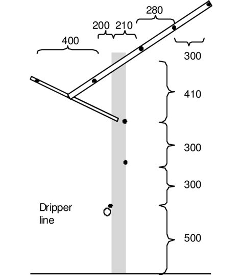 Diagram Blackberry Trellis Diagram Mydiagramonline