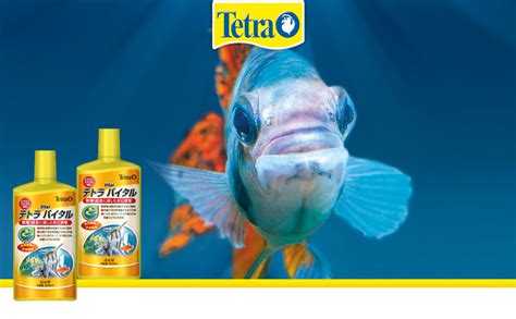 Amazon テトラ Tetra バイタル 500ml 観賞魚の繁殖成長を促進する調整剤 ビタミンミネラル配合 熱帯魚 成長 発色