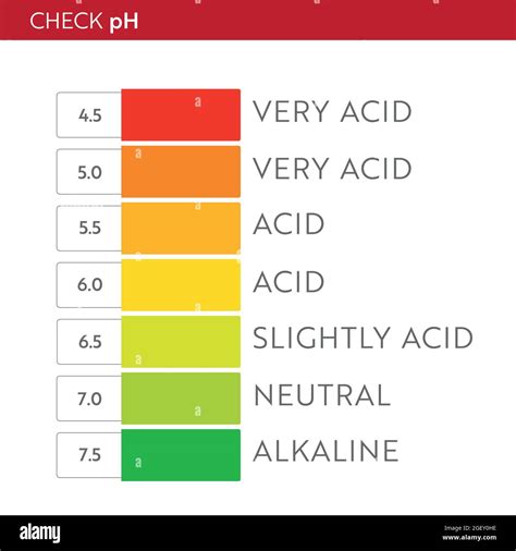 Ph Value Scale Chart Acid Base Balance Infographic Education Poster Stock Vector Image And Art