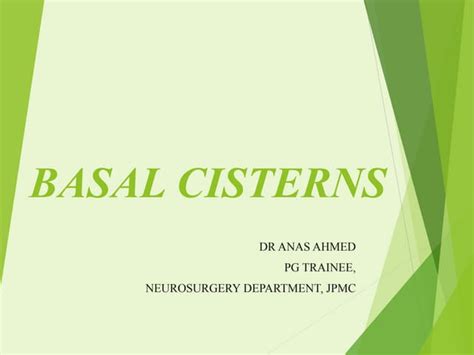 Basal Cisterns Final Ppt