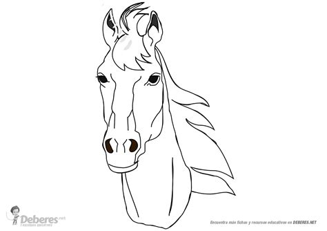 Colorear Dibujar Una Yegua Como Dibujar Un Caballo Dibujo Para Porn